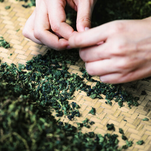 Warum Teeblätter gerollt werden | Magazin | Avoury. The Tea